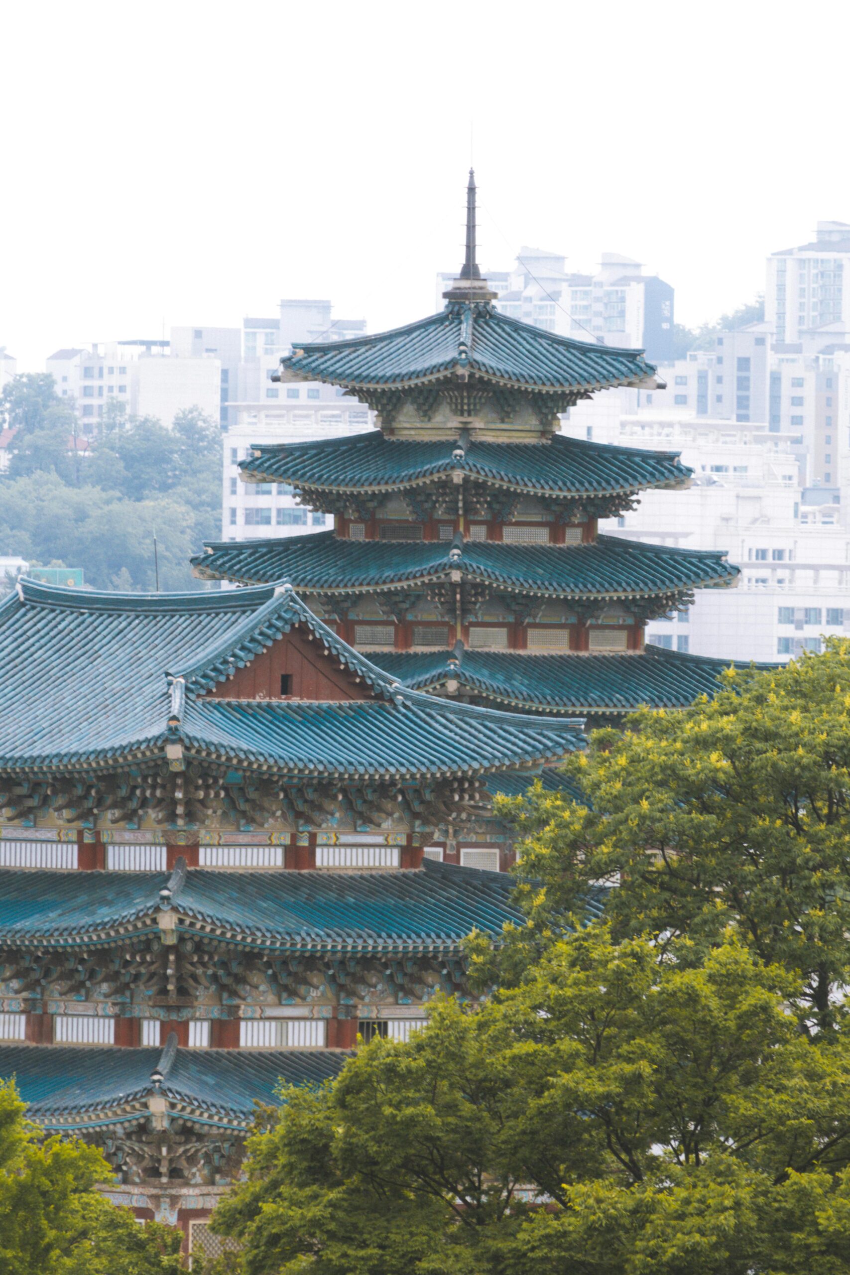 Korean Government Buildings: Complete Address & Visiting Guide | 주소미 블로그